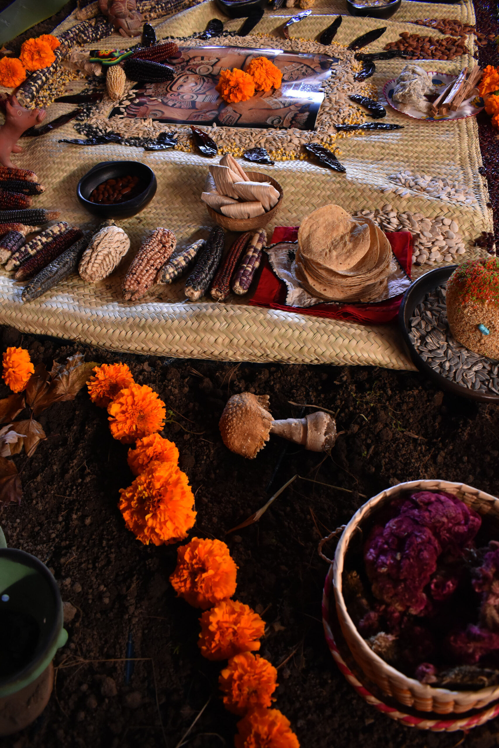 Culture – Rooting Through Corn Planting Families